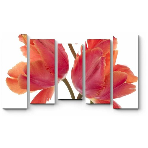 Модульная картина Распустившиеся тюльпаны 150x90