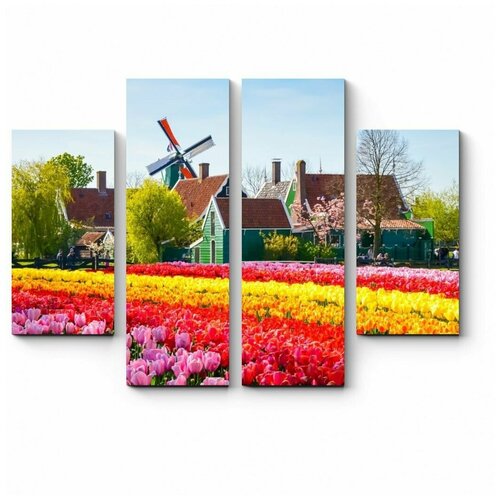 Модульная картина Тюльпановое поле, Амстердам 100x75
