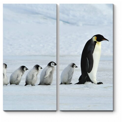 Модульная картина Семейство пингвинов на прогулке 120x120