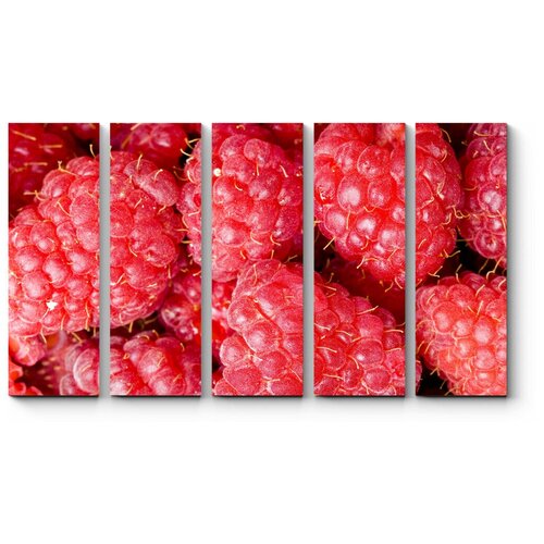 Модульная картина Крупные ягоды малины 160x96