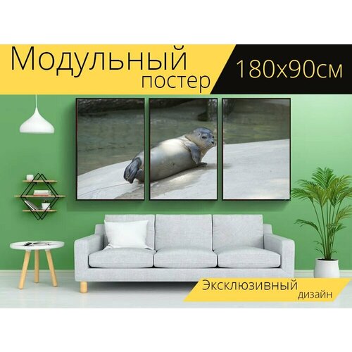 Модульный постер "Тюлень, ложь, комфортный" 180 x 90 см. для интерьера