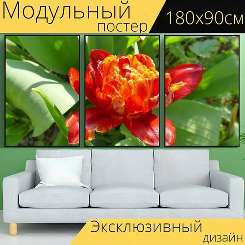 Модульный постер "Тюльпан, цветок, весна" 180 x 90 см. для интерьера