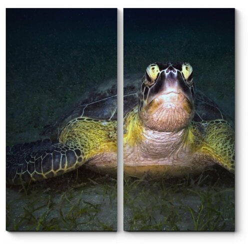 Модульная картина Зеленая черепаха ночью 80x80