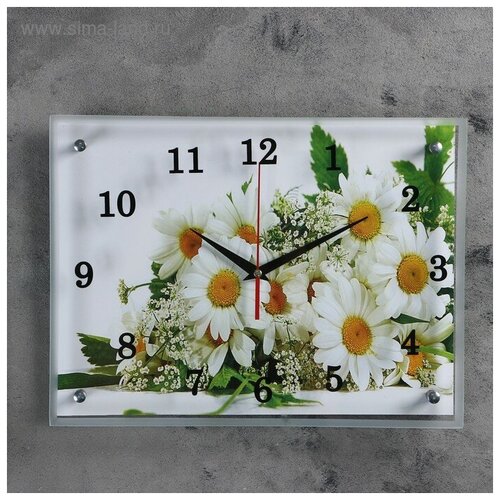 Часы настенные, серия: Цветы, "Ромашки", 30х40 см