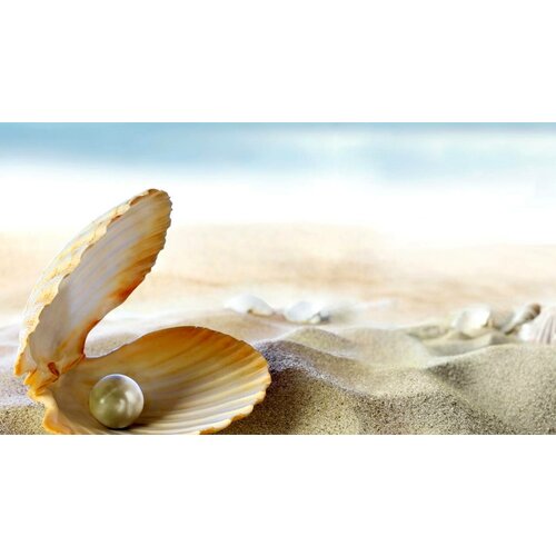 Картина на холсте 60x110 LinxOne "Ракушка beach песок море" интерьерная для дома / на стену / на кухню / с подрамником