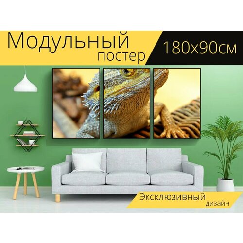 Модульный постер "Бородатая агама, дракон, рептилия" 180 x 90 см. для интерьера