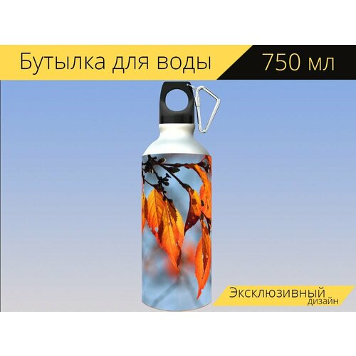 Бутылка фляга для воды "Осень, листья, листва" 750 мл. с карабином и принтом