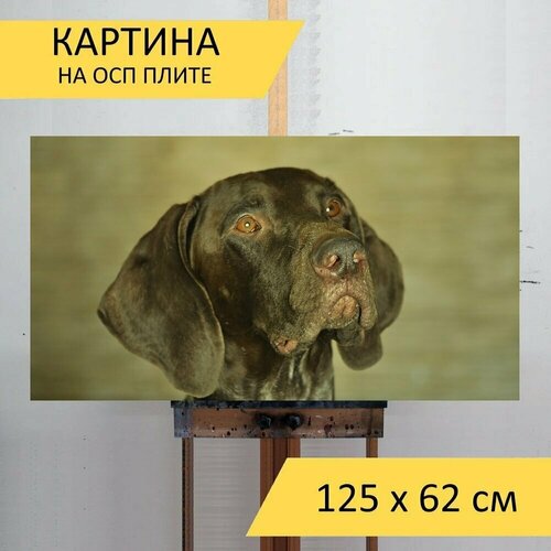 Картина на ОСП 125х62 см. "Портрет, собака, курцхаар" горизонтальная, для интерьера, с креплениями