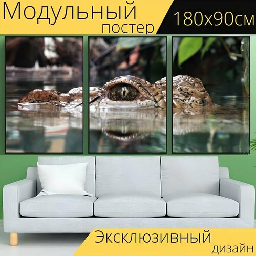 Модульный постер "Крокодил, глаз, дикая природа" 180 x 90 см. для интерьера