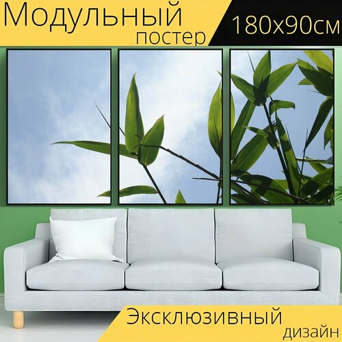 Модульный постер "Бамбук, листья бамбука, синее небо" 180 x 90 см. для интерьера