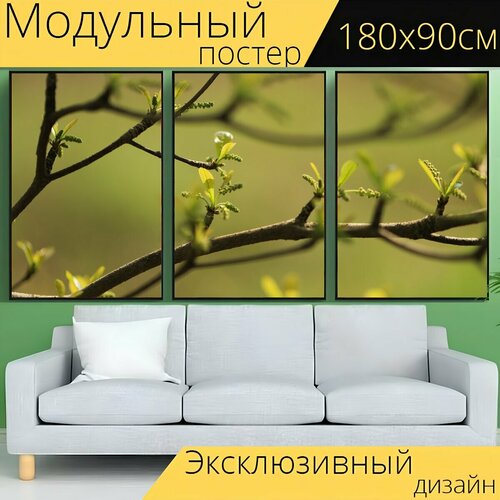 Модульный постер "Ветви, листья, новый" 180 x 90 см. для интерьера