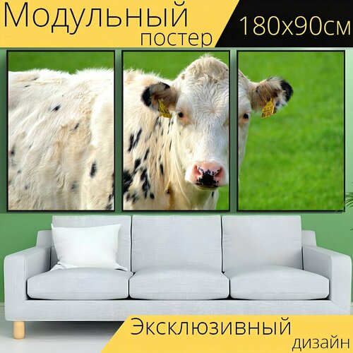 Модульный постер "Корова, пастбище, сельское хозяйство" 180 x 90 см. для интерьера