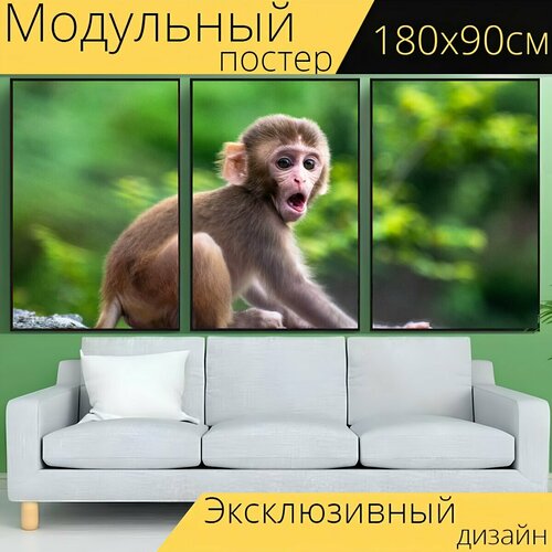 Модульный постер "Милый, обезьяна, детка" 180 x 90 см. для интерьера
