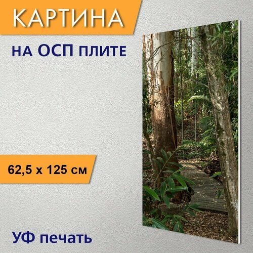 Вертикальная картина на ОСП "Тропический лес, лес, камеди" 62x125 см. для интерьериа
