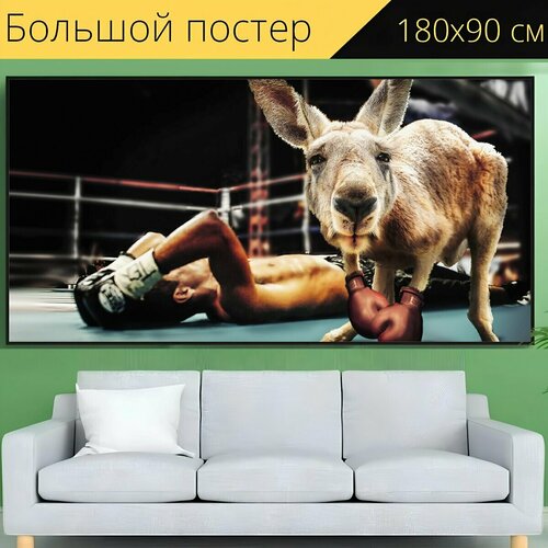 Большой постер "Заниматься боксом, бокс матча, кенгуру" 180 x 90 см. для интерьера
