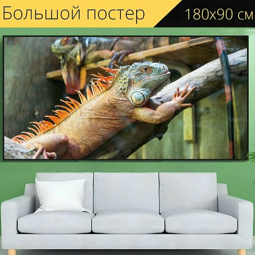 Большой постер "Игуана, ящерица, рептилия" 180 x 90 см. для интерьера