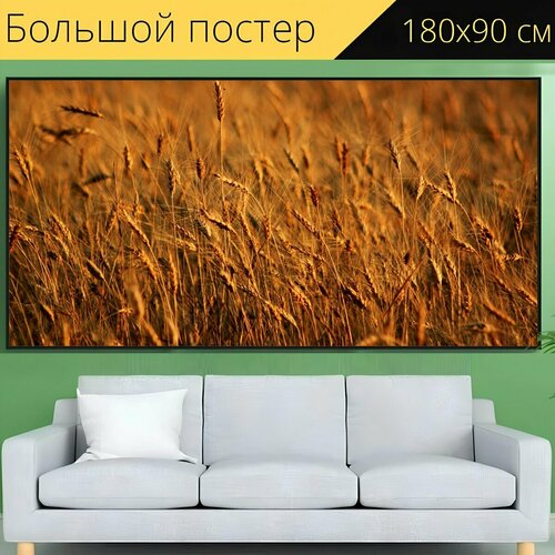 Большой постер "Дева, поле, пшеница" 180 x 90 см. для интерьера