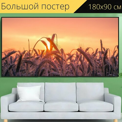 Большой постер "Кукурузное поле, заход солнца, подсветка" 180 x 90 см. для интерьера