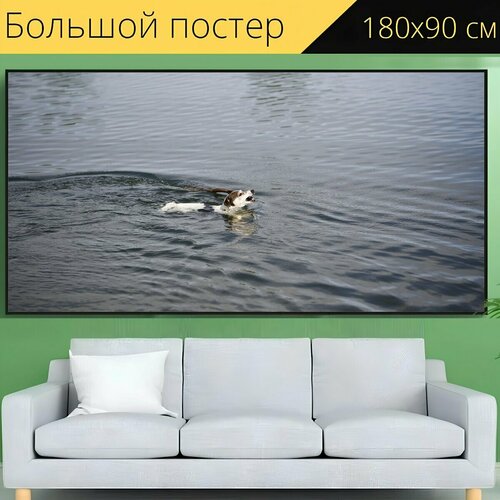 Большой постер "Собака, вода, природа" 180 x 90 см. для интерьера