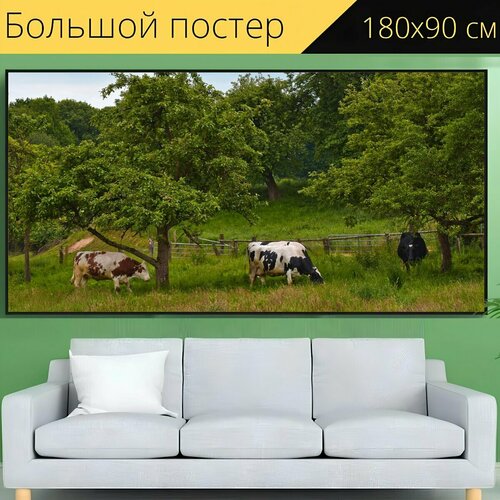Большой постер "Животное, коровы, фермерский двор" 180 x 90 см. для интерьера