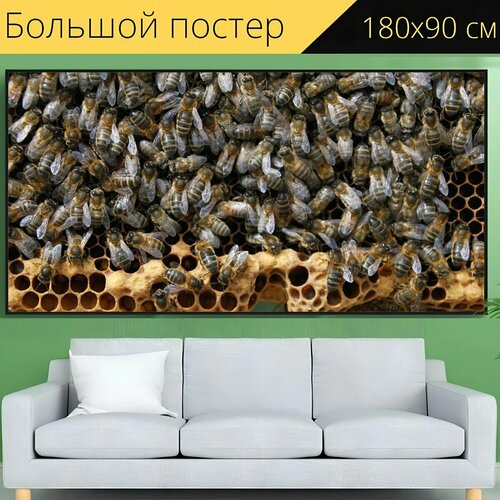 Большой постер "Пчелы, соты, улей" 180 x 90 см. для интерьера