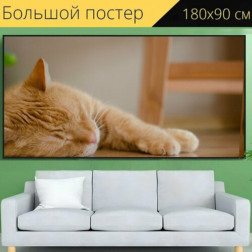 Большой постер "Кошка, рыжий кот, отдых" 180 x 90 см. для интерьера
