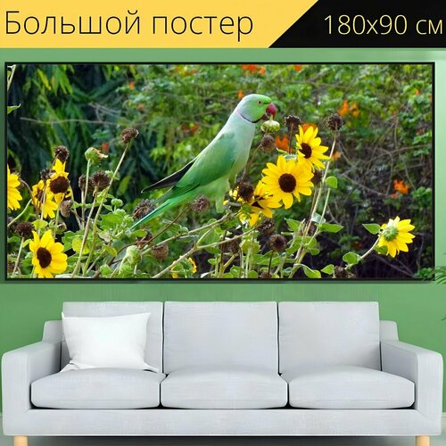 Большой постер "Птица, попугай, зеленый" 180 x 90 см. для интерьера