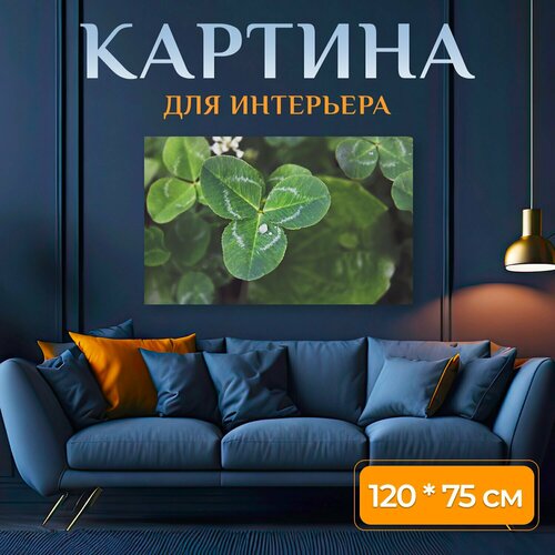 Картина на холсте "Клевер, тройчатые, макрос" на подрамнике 120х75 см. для интерьера