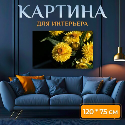 Картина на холсте "Цветок, желтый, вечные цветы" на подрамнике 120х75 см. для интерьера
