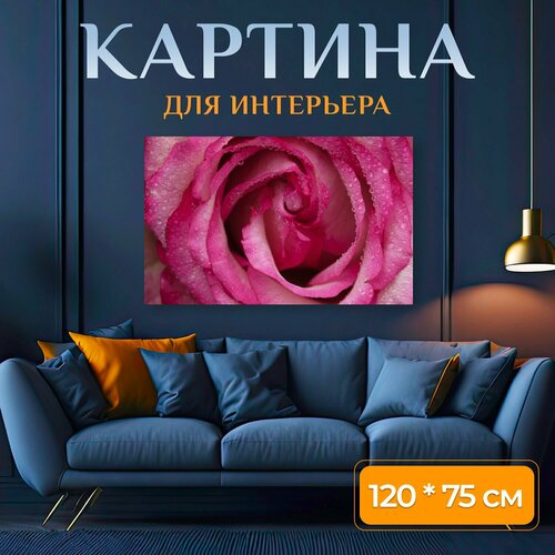 Картина на холсте "Цветок, цвести, роза" на подрамнике 120х75 см. для интерьера