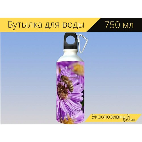 Бутылка фляга для воды "Астра, цвести, насекомое" 750 мл. с карабином и принтом