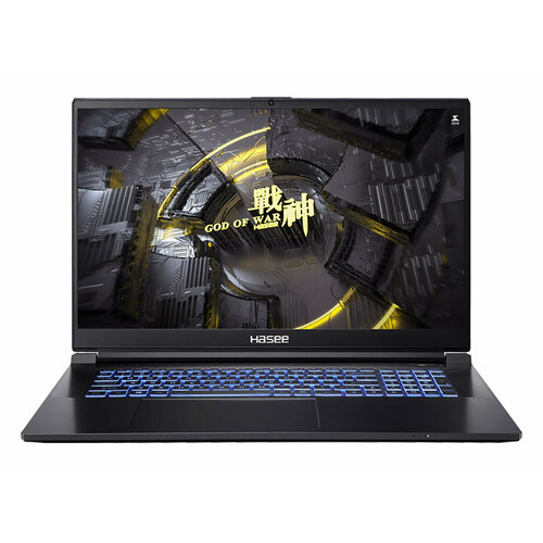 Ноутбук HASEE G8R9 G8R9 (17.3", Core i9 13900H, 16 ГБ/ SSD 1000 ГБ, GeForce® RTX 4060 для ноутбуков) Черный