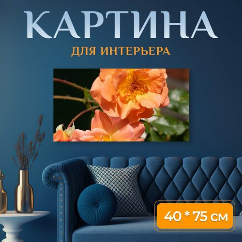 Картина на холсте "Роза, розы, цветы" на подрамнике 75х40 см. для интерьера
