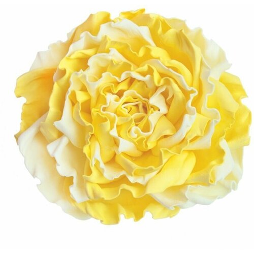 Заколка-брошь для волос/одежды/сумки большой цветок роза желтая двухцветная 0405м