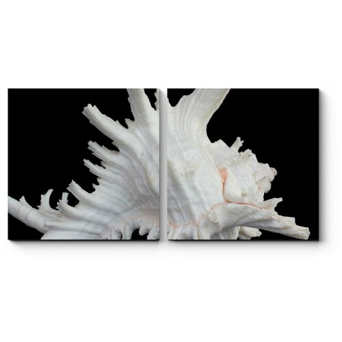 Модульная картина Морская раковина180x90