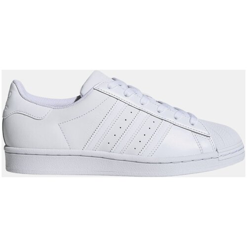 Кроссовки adidas Superstar, размер 5,5 UK, белый