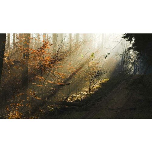 Картина на холсте 60x110 Альянс Лес "Тусклая осень" на подрамнике / интерьер/ декор