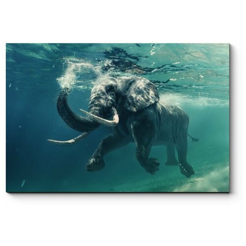 Модульная картина Слон покоряет океан 60x40