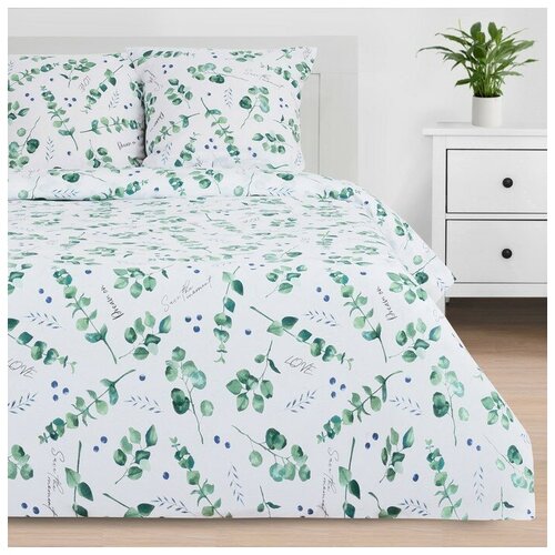 Комплект постельного белья Этель Листья эвкалипта, евростандарт, хлопок, зеленый
