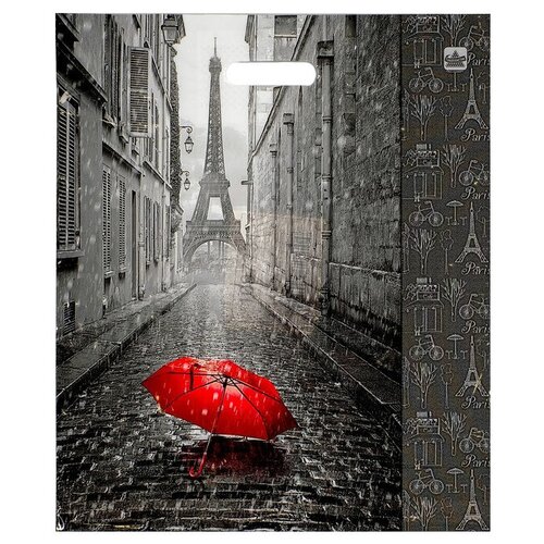 Пакет   ТИКО-Пластик Мой Париж 45х38, 60 мкм 50 шт. серый/красный зонт 38 см