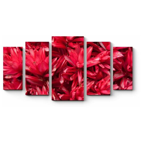 Модульная картина Красные тропические цветы 110x61
