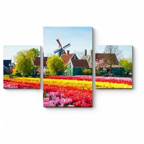 Модульная картина Тюльпановое поле, Амстердам 100x65