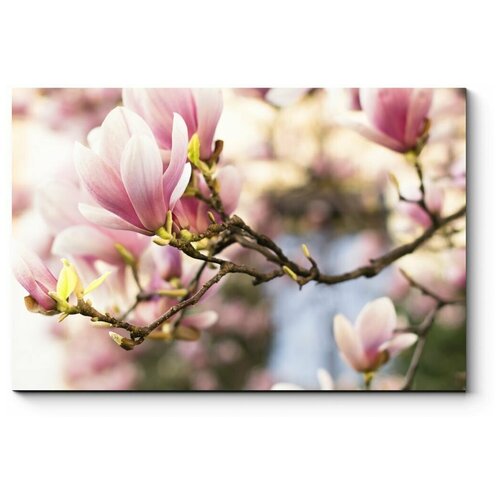 Модульная картина Весны прекрасное цветение 40x27