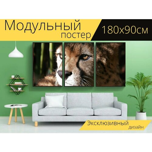 Модульный постер "Гепард, портрет животных, большой кот" 180 x 90 см. для интерьера