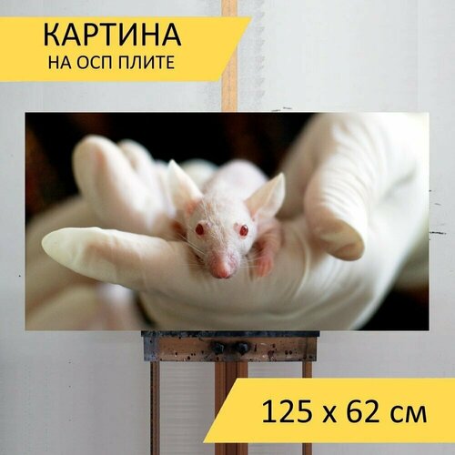 Картина на ОСП 125х62 см. "Животное, мышь, эксперимент" горизонтальная, для интерьера, с креплениями