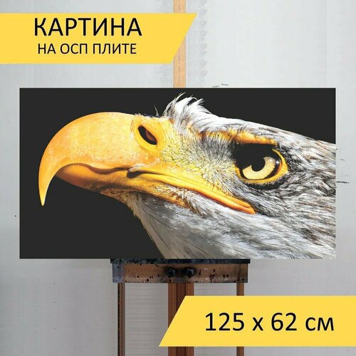 Картина на ОСП 125х62 см. "Орел, белоголовый орлан, птица" горизонтальная, для интерьера, с креплениями