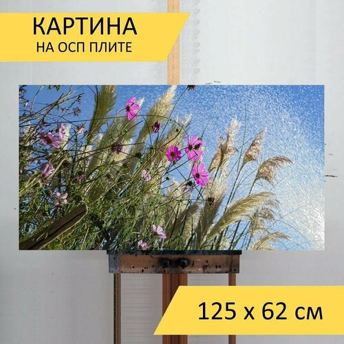 Картина на ОСП 125х62 см. "Пампасная трава, цветок, солнце" горизонтальная, для интерьера, с креплениями