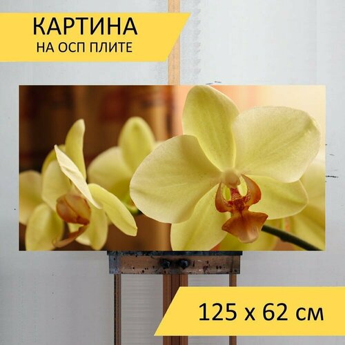 Картина на ОСП 125х62 см. "Завод, цветок, орхидея" горизонтальная, для интерьера, с креплениями