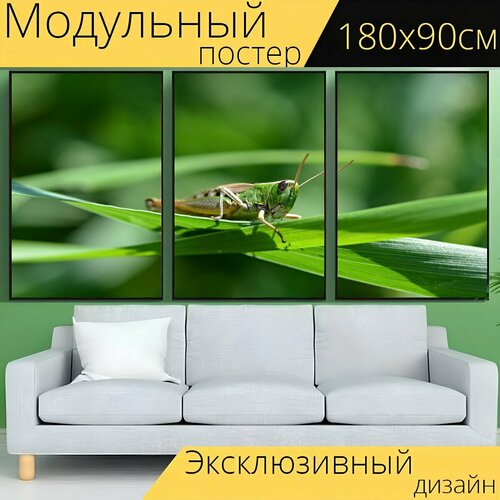 Модульный постер "Природа, кузнечик, насекомое" 180 x 90 см. для интерьера