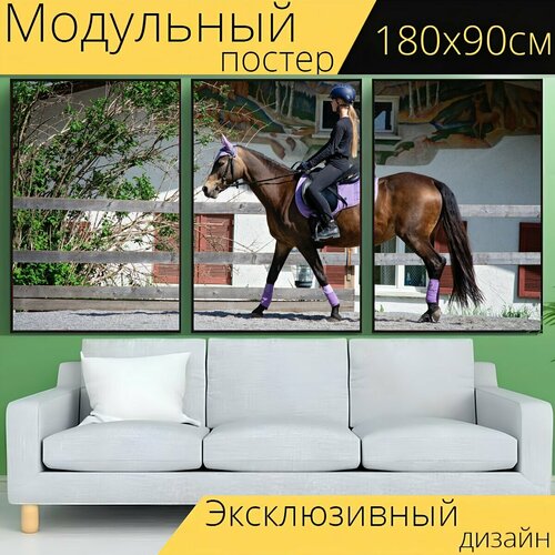 Модульный постер "Езда на лошади, лошадь, пони" 180 x 90 см. для интерьера
